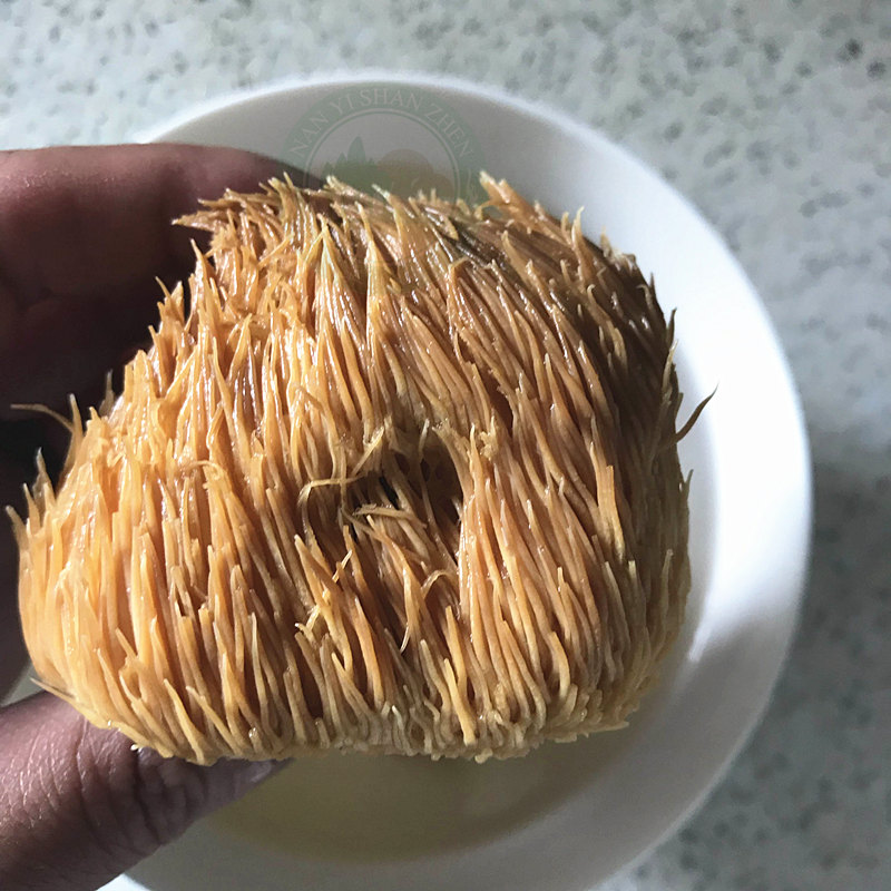云南特产纯野生猴头菇干货香格里拉藏区猴头菌山珍蘑菇两件包邮