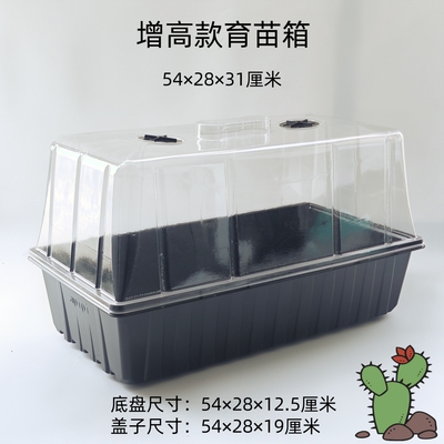 热植花烛闷养育苗盒多肉