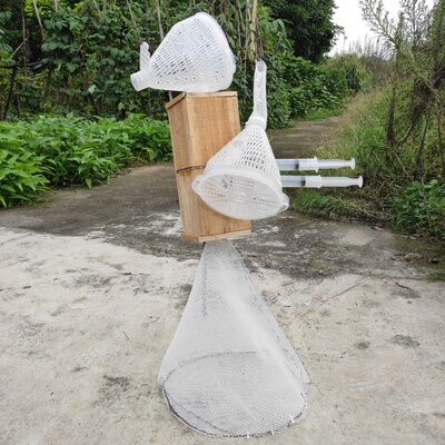 胡蜂王过滤控王笼马蜂服黄脚黑盾七里蜂王过滤分离笼筑巢活动箱