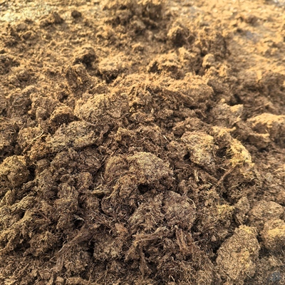 天南星秋海棠块状泥炭块根蝴蝶兰