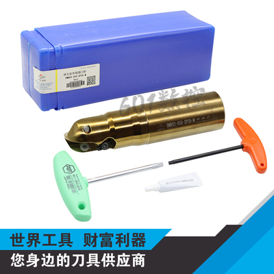 原装株洲球头仿形铣削数控刀杆BMR03-050-XP50-M /L
