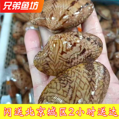 鲜活芒果贝海鲜水产蛤蜊