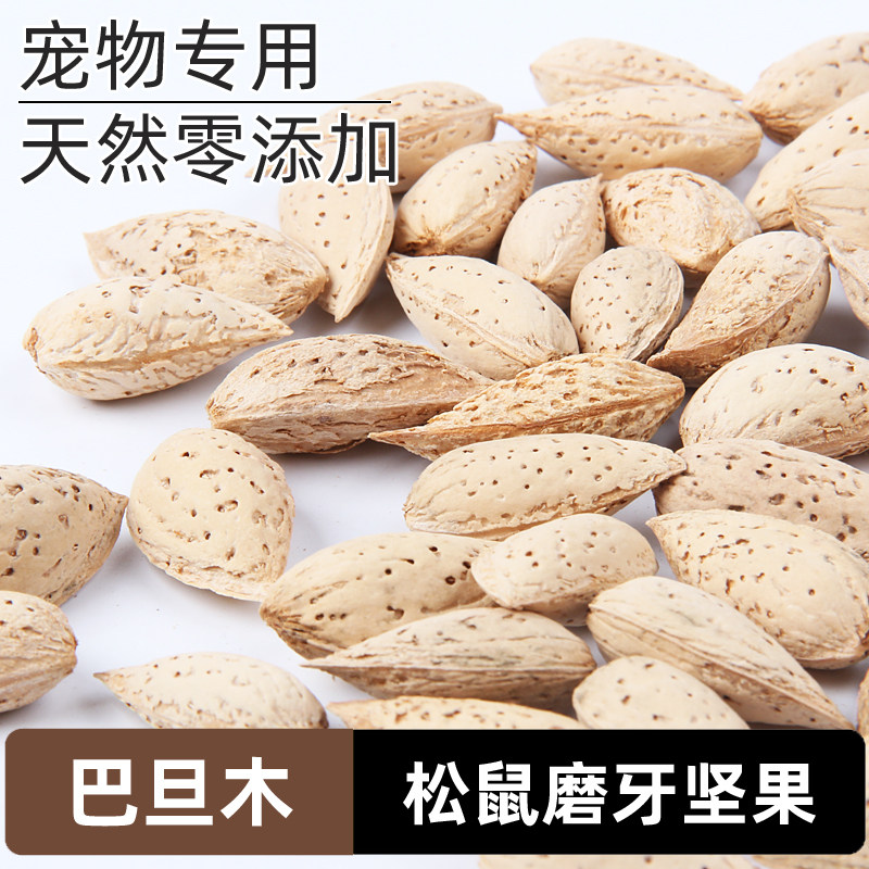 松鼠飞鼠宠物粮食食物爱吃的零食营养巴达木巴旦木薄壳薄皮生坚果