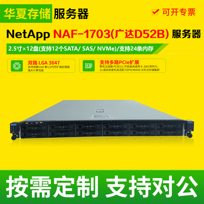 广达D52B NetApp NAF-1703机架式二手双路3647准系统机架式服务器
