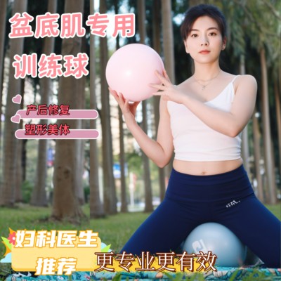 25cm普拉提小球PVC瑜伽球防爆加厚磨砂麦管球平衡健身翘臀球