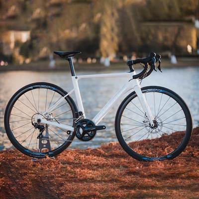 ROLLINGSTONE滚石PROBING探索者碟刹公路整车定制46.5 49 52 55CM