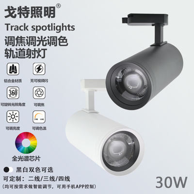 大瓦数30W博物馆文旅展馆轨道灯