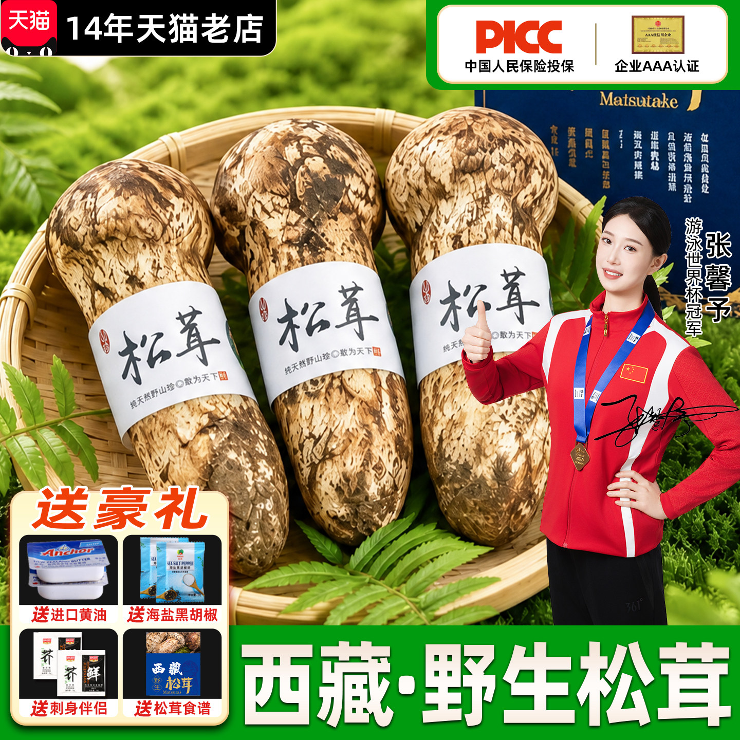 西藏新鲜松茸野生林芝松茸菌菇未开伞礼盒装松菌6~8CM鲜松茸菌菇