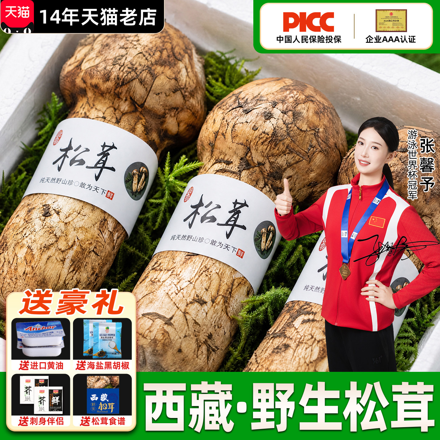 西藏林芝新鲜野生松茸出口级未开伞野生松茸菌云南松茸菌菇旗舰店