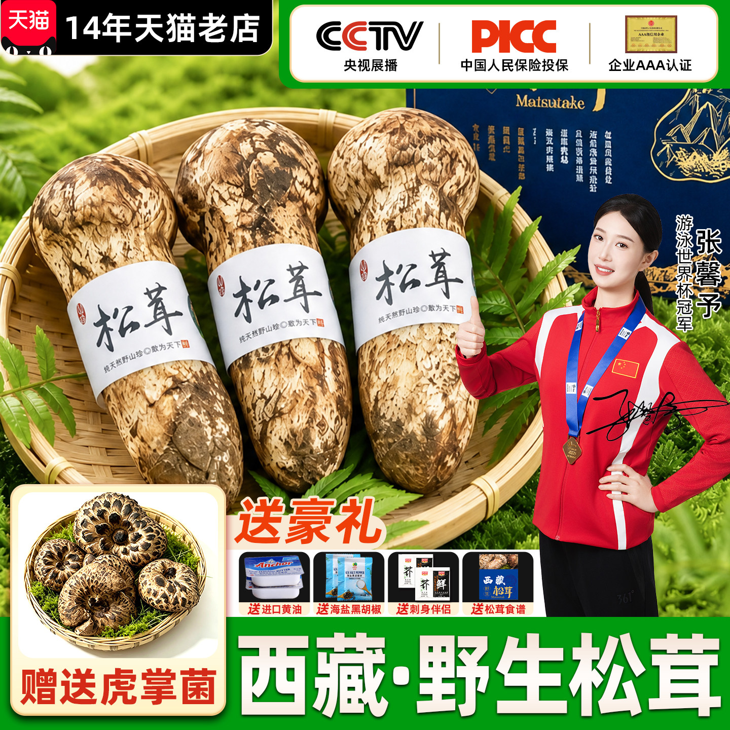 西藏新鲜松茸野生林芝松茸菌菇未开伞礼盒装松菌6~8CM鲜松茸菌菇