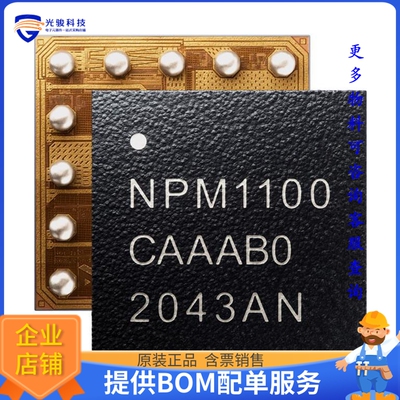 NPM1100-CAAB-R电源芯片《POWER MANAGEMENT IC WSLP VTERM 4》