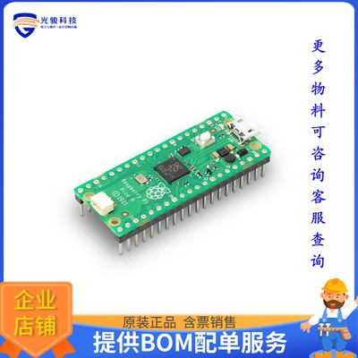 SC0917【RASPBERRY PI PICO H RP2040】嵌入式MCU、DSP评估板
