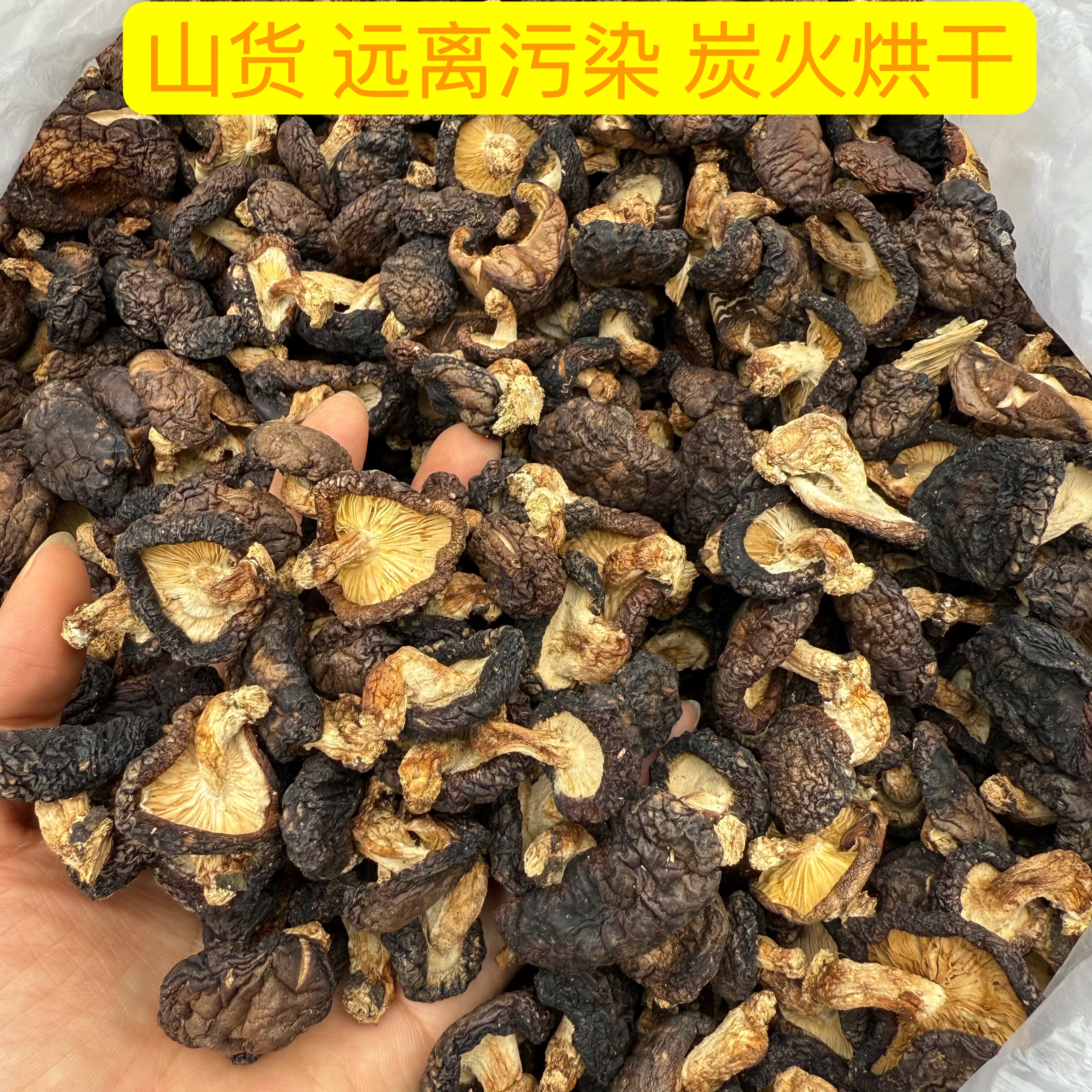 桂林深山野生椴木小硫无添加超香香菇类菇干货香菇干香菇菌菇