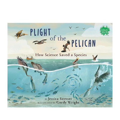 【预售】鹈鹕的困境：科学如何拯救一个物种 Plight of the Pelican 原版英文儿童绘本图书