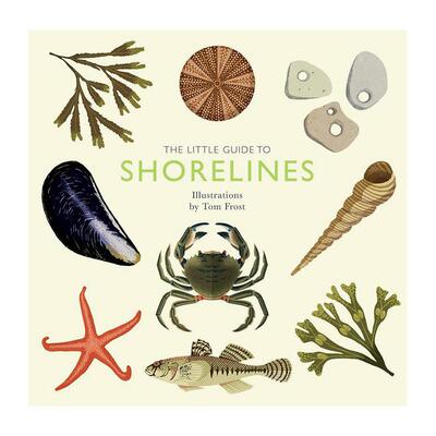 【现货】【袖珍插画指南】海岸线 【Little Guides】Shorelines  原版英文插画原画设定集进口图书