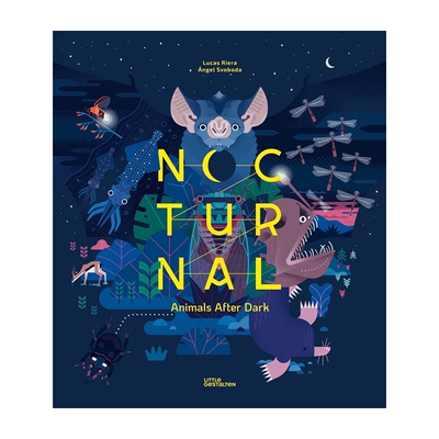 【预售】夜行动物 Nocturnal 原版英文儿童绘本