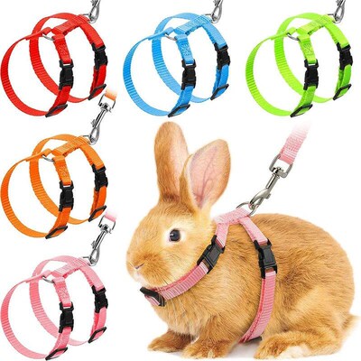 Low Price Rabbit Cat Harness and Leash Set Nylon Harnesses f