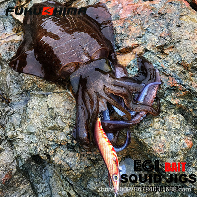 FUKUSHIMA墨将一代2.5号夜光木虾