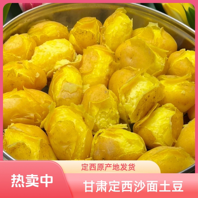 甘肃定西土豆新土豆黄心沙面洋芋马铃薯粉糯农家自种高山蔬菜