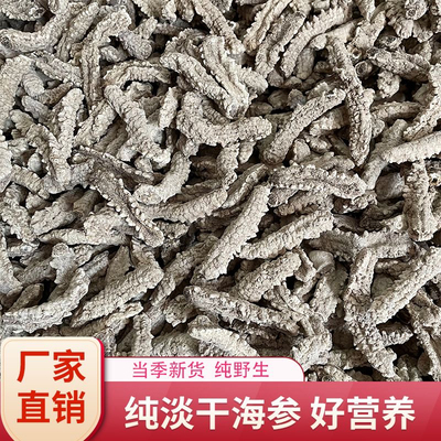 野生海参干货淡干白刺参黄玉参非即食海参海参鲜活水产干货干海参