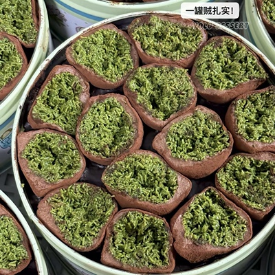YOLO迪拜曲奇蛋糕罐子470g/罐
