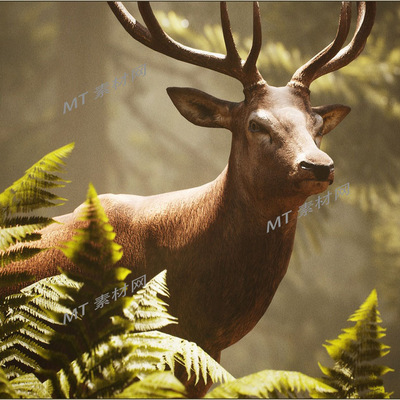 UE5虚幻5写实次世代森林动物鹿麋鹿角色动画模型Animalia RedDeer