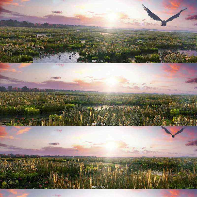 生态保护区湿地公园黄昏日落夕阳白鹤飞鸟3D动画三维漫游视频素材