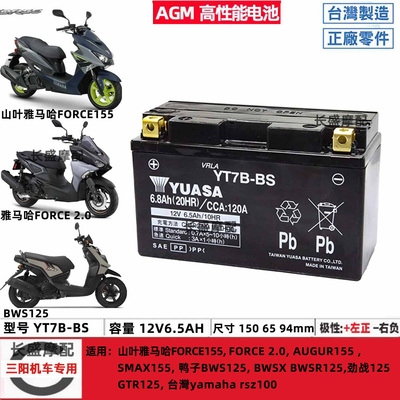 yamaha山叶鸭子BWS125X林海极光三代目勁戰TTR250雅马哈电瓶 電池