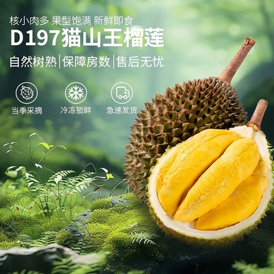 马来西亚猫山王D197榴莲双A果精选保5房进口高端水果顺丰液氮冷冻