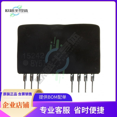 VLA106-15242【DC DC CONVERTER 24V 2W】