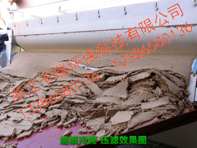 污水处理网布环保卡瑞定制