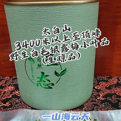 秦岭太白山3400米以上至顶峰药王观音茶婆野生白毛银露梅生晾花少