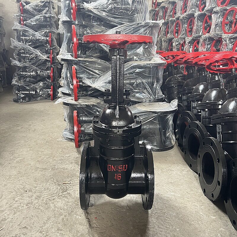 Z41T-16铸铁闸阀铜芯人防防护闸阀明杆法兰闸阀DN506580100