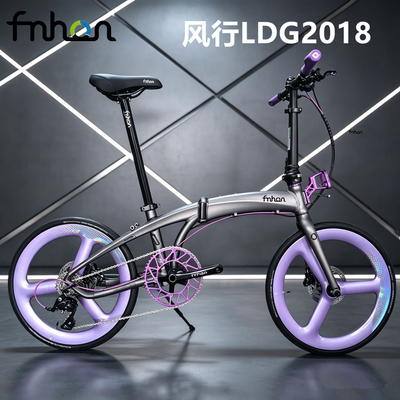 风行LDG2018海豚架碳轮折叠车