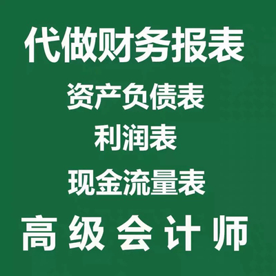 代做财务报表附注资产负债表利润表现金流量表银行贷款招投标用
