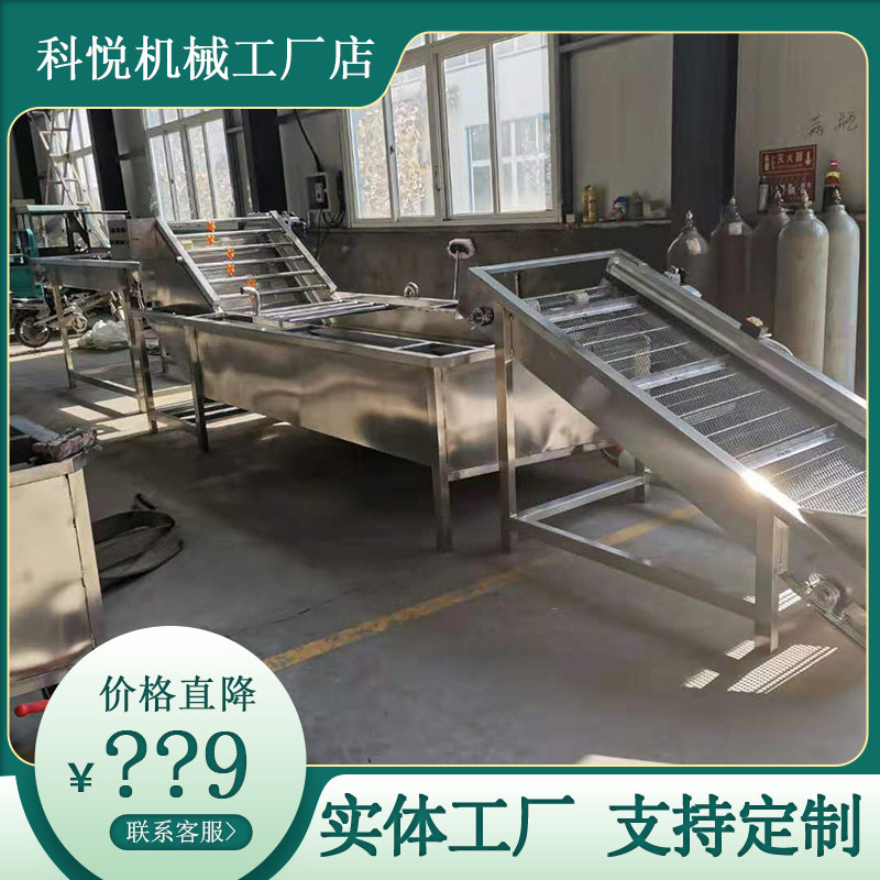 全自动气泡清洗机 果蔬清洗加工设备 农产品深加工流水线支持定制