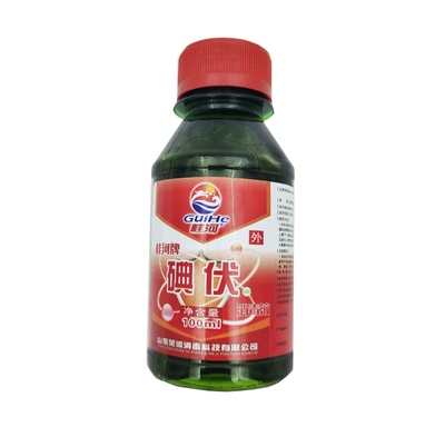 桂河消毒液4瓶（发货不退款）