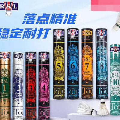 RSL亚狮龙专业耐打羽毛球