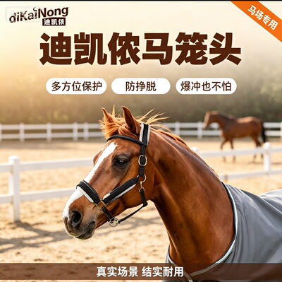 聚皓马具羊毛内衬防磨马笼头马术龙套牵引马绳合金配件调教马装备