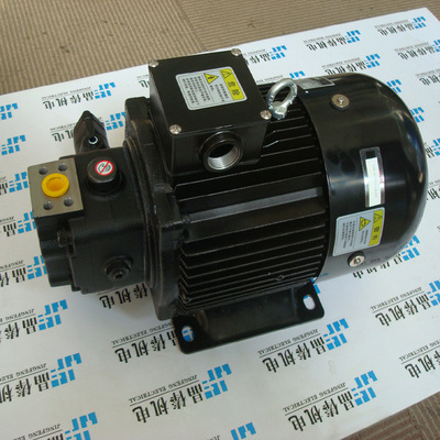 4P-1.5KW  TWF4817DF 380V日本NACHI电机UVN系列 TWF4918BF