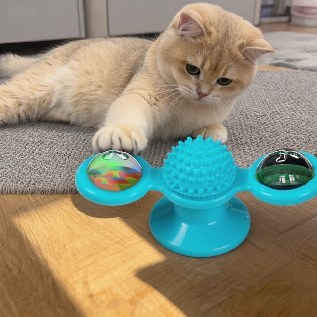猫玩具吸盘逗猫棒猫咪居家解闷消耗体力猫薄风车转盘磨牙逗猫抓板
