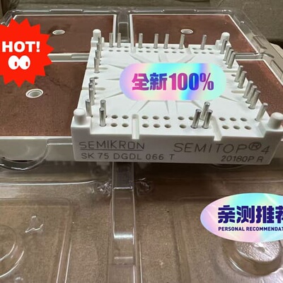 SK75DGDL066T西门康全新原装进口正品--议价商品