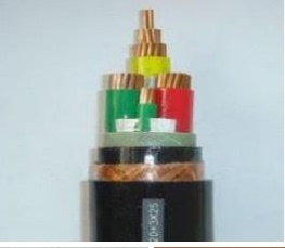 安徽天长市中盛电缆A级阻燃变频电缆ZRA-BPYJVP 3*6+3*1.5