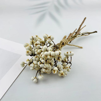 天然小白果乌桕果干花diy手作花环搭配花材白色薏米果小清新装饰