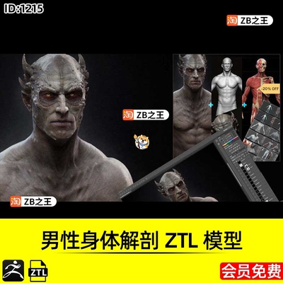 ZBrush工程文件男性人物人体身体解剖ZTL预设模型ZB建模雕刻素材