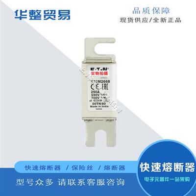 巴斯曼全新原装正品快速熔断器保险丝170M2668 170M2669