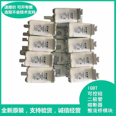 全新原装进口Bussmann保险丝 170M2667  200A 690V~700V快断熔断