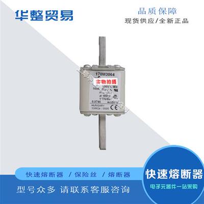 巴斯曼全新原装正品熔断器保险丝 170M3065 170M3066