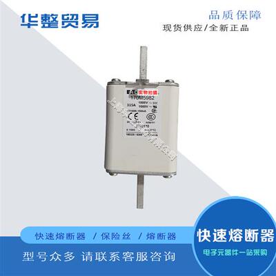 巴斯曼全新熔断器170M4988 170M4989 170M5981 170M5982 170M5983