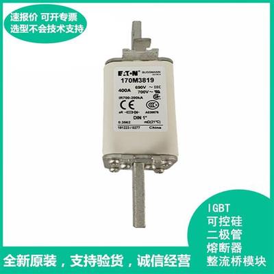 全新170M3819美国Bussmann170M3819快速熔断器保险丝